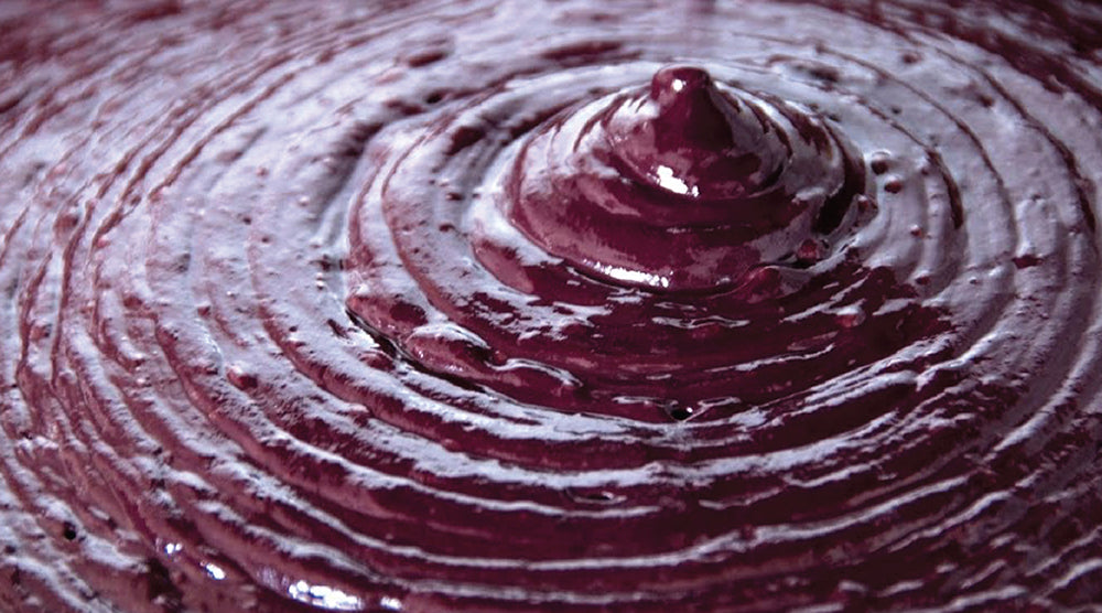A cor da moda é o Açaí – Denise Gerassi